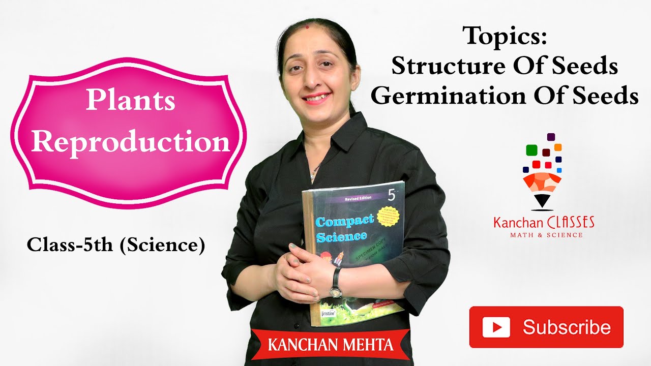 Topic: Structure of seed , Germination Of Seeds | Kanchan Classes - YouTube