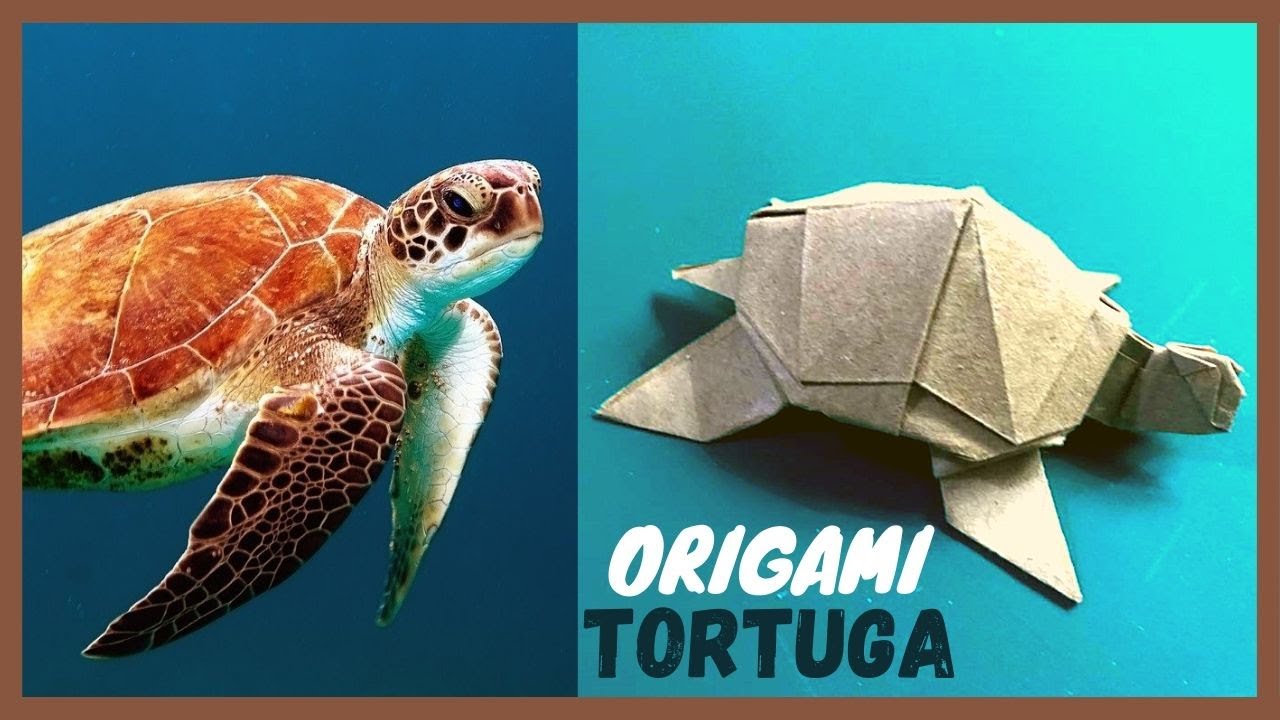 Tortuga de ORIGAMI |Paso a paso| 🐢😲😆 - YouTube