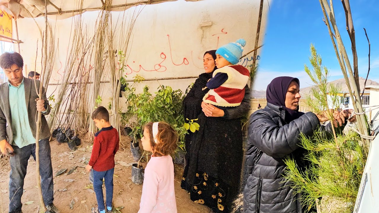 **Investing in the Future: Planting Trees for Children's Health and ...