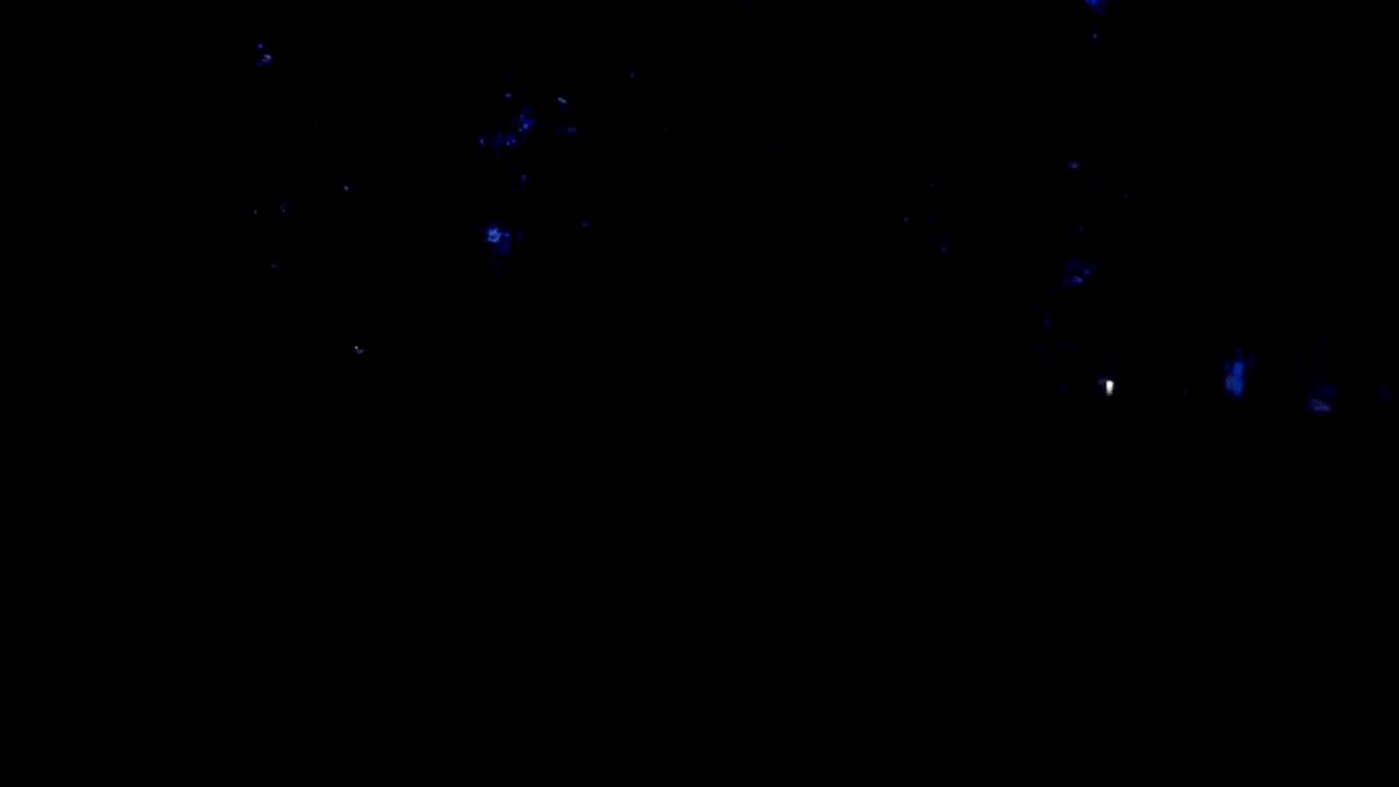 Nature's Rave at Dusk - YouTube