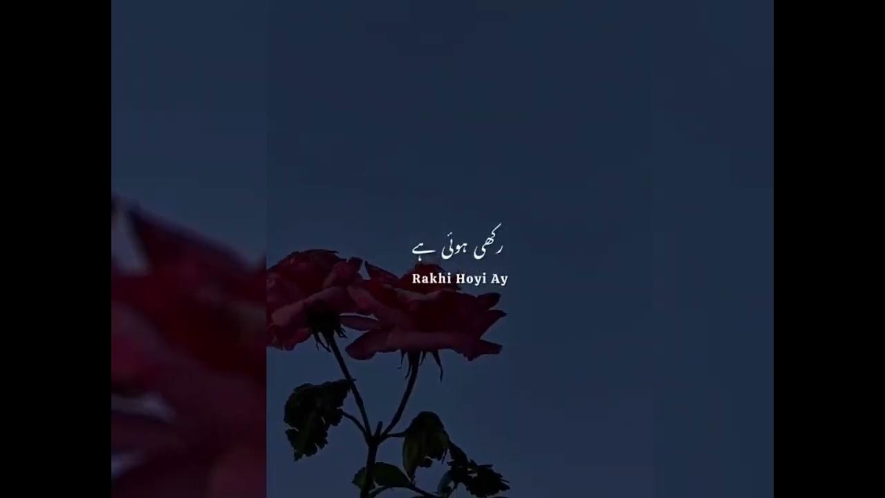 Dil Tenu Dy Ditta Diljit And Sia Song Tabassum Videos Youtube