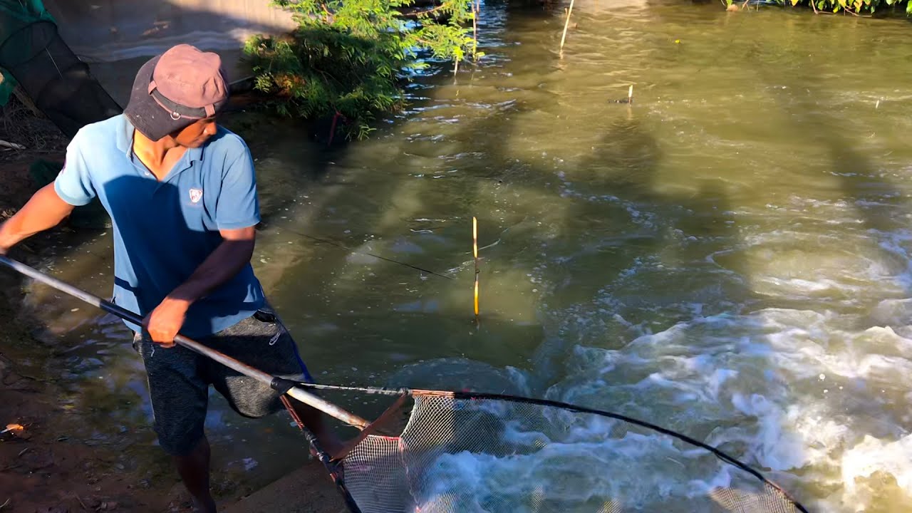 Wow!!! Real Life 100% Net Fishing In River At The Countryside (Part 9 ...