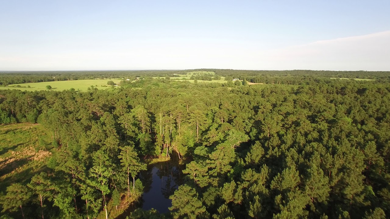 Feeding the fish at Double Drop Ranch and Ranch Flyover to Breeding ...