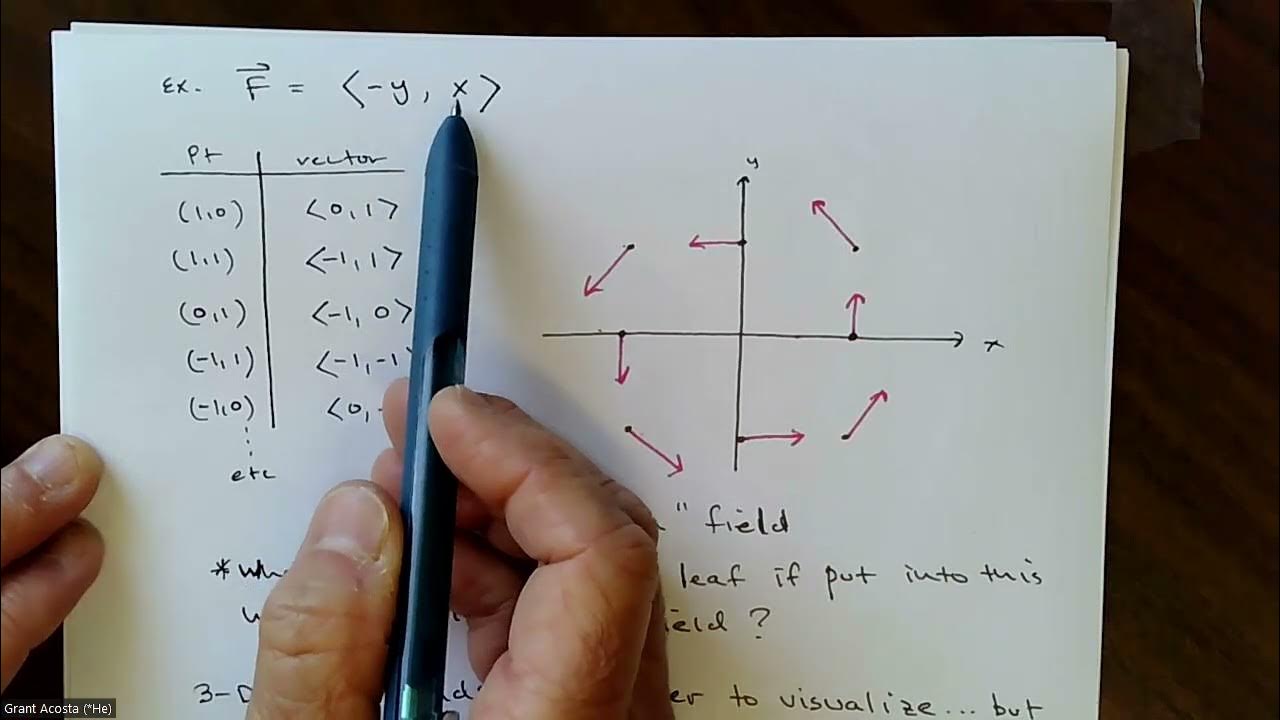 Vector Fields - YouTube