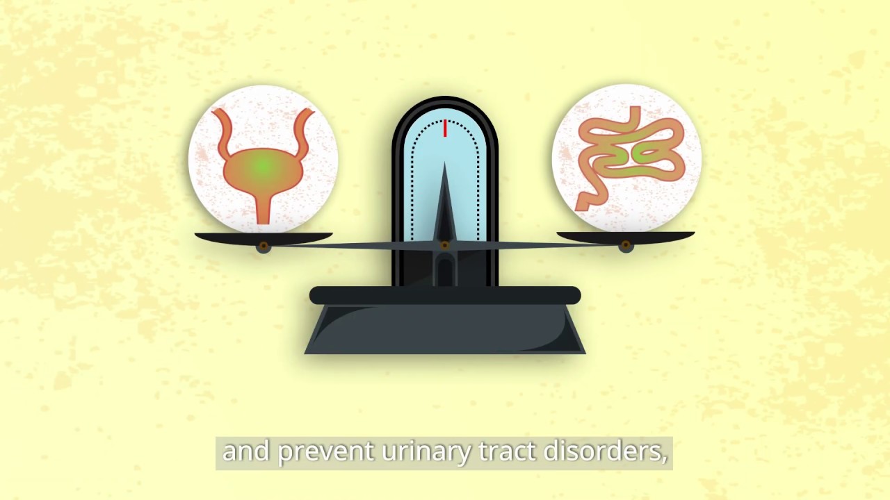 Sedacist by Erba Vita - English subtitles - YouTube