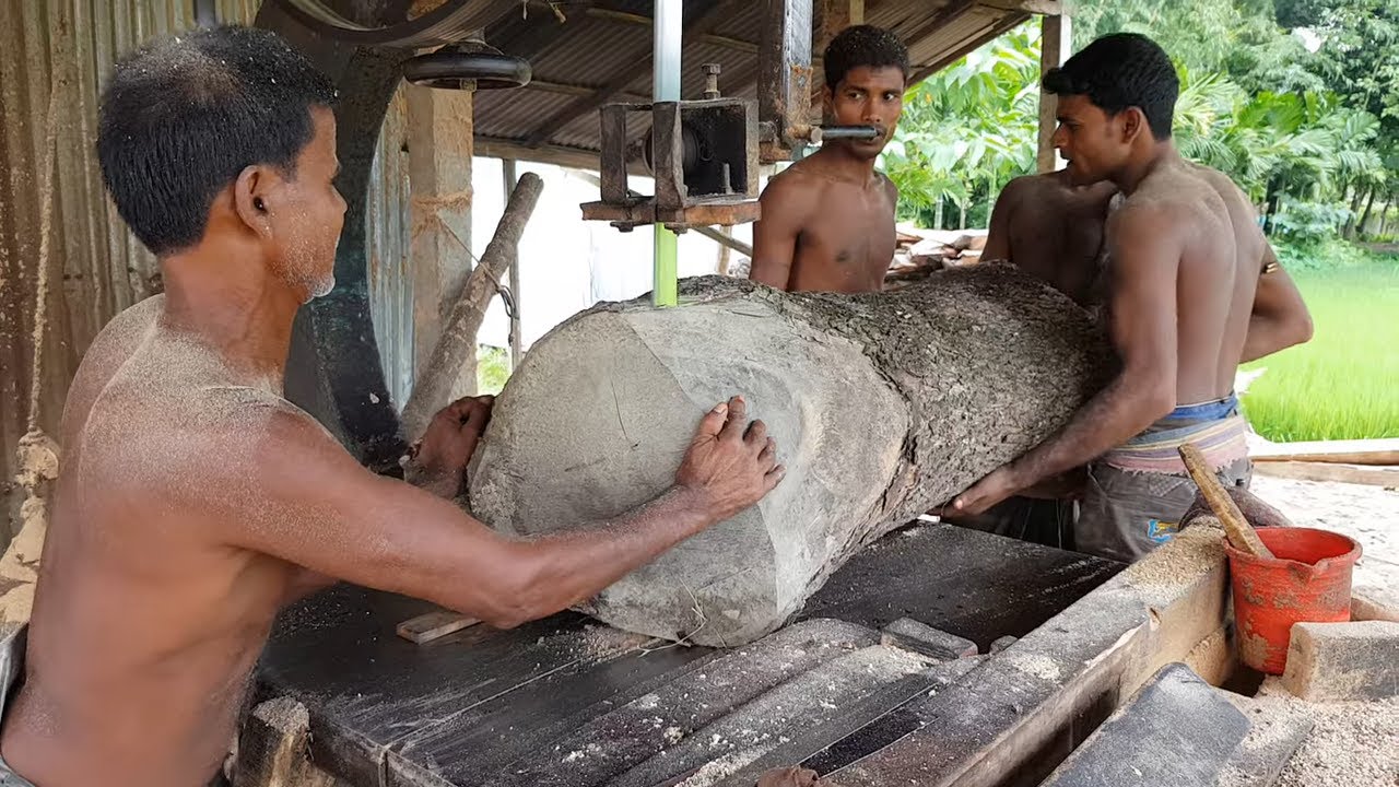 Black Teak $500 With Skilled Workers in Sawmill।High Quality of Wood ...