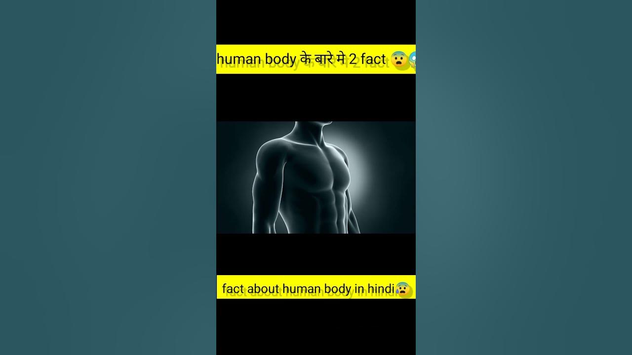 Fact About Human Body In Hindi facttechz a2sir factvideo YouTube fact-about-human-body-in-hindi-facttechz-a2sir-factvideo-youtube