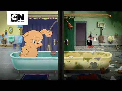 DUCHA DE CONFUSION | LOONEY TUNES CARTOON | CARTOON NETWORK
