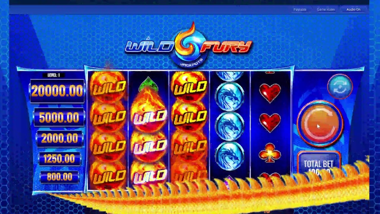 $100 Max Bet Spins on Wild Fury Slot Machine (Play Alberta) - YouTube