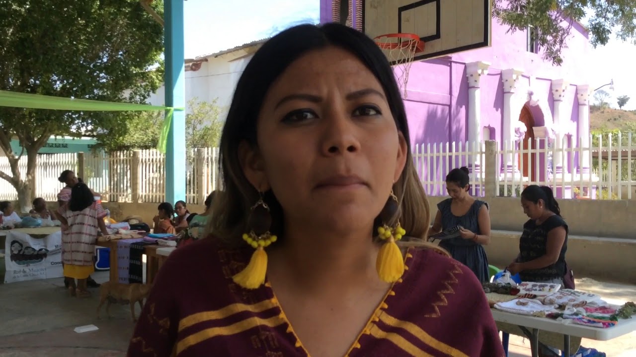 Clara Clarissa Bornios Peláez, diputada juvenil en San Sebastián Ixcapa ...