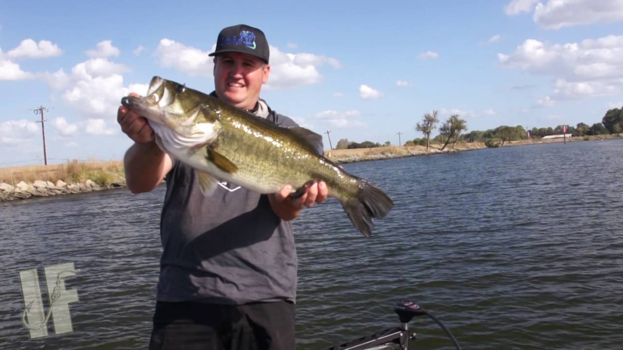 10lb Bass Boat Flipped on a SWIMBAIT, CA DELTA! - YouTube