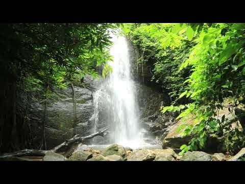 Relaxing Waterfalls Sounds For Meditation | 3 Hours Soothing and ...