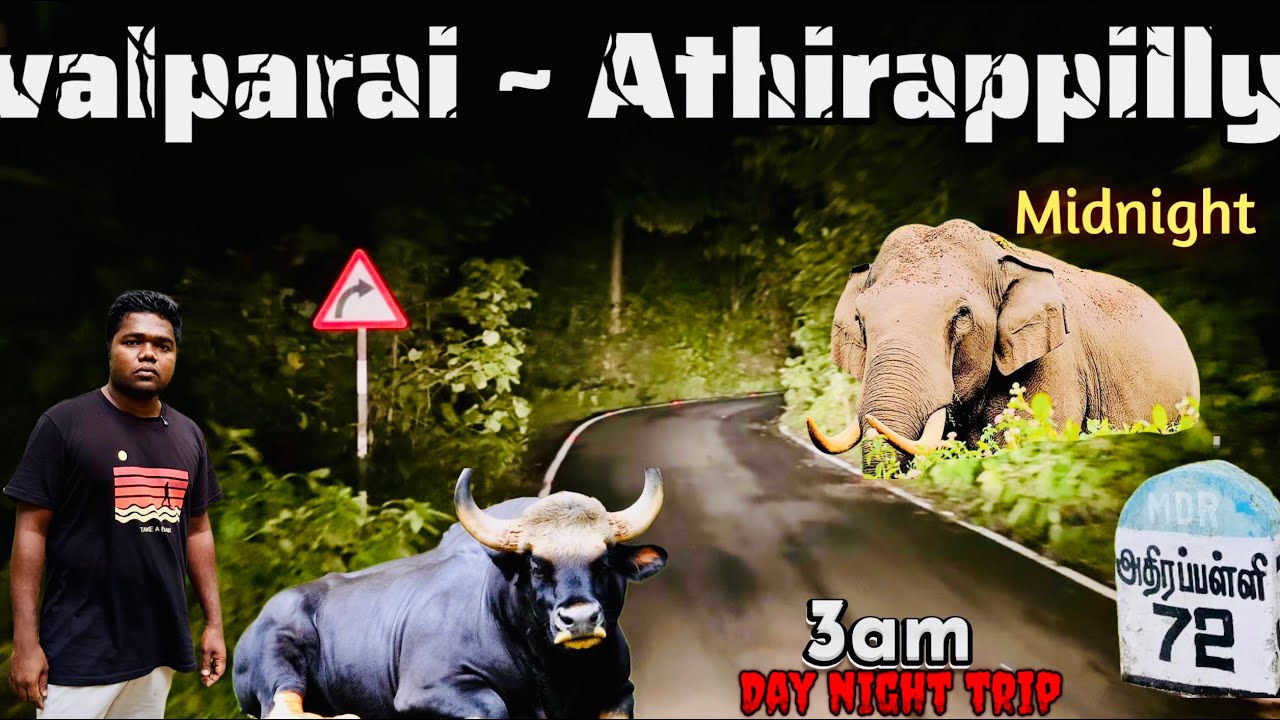 valparai to athirappilly to valparai Day and night Forests travel ...
