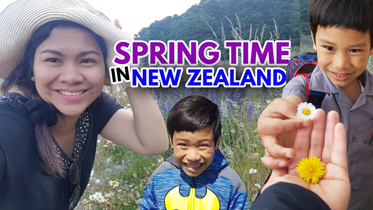 Spring time in New Zealand | Cherry Blossoms | Beautiful Flowers | Gian ...