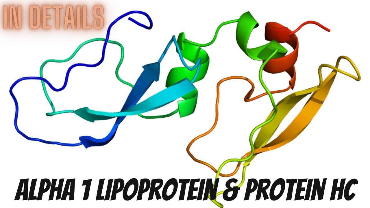 Protein HC & Alpha 1 Lipoprotein in details. All types of protein part ...