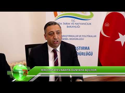 Yerli patates Nahita dünyaya açılıyor
