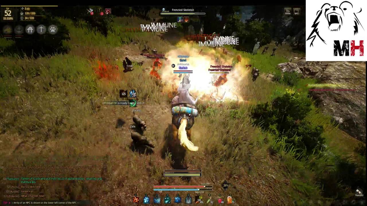 BDO Mounted Wizard Combat - YouTube