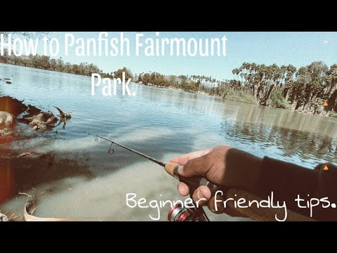 How to Panfish [Fairmount Park]. Beginner’s guide, rod and reel set up ...