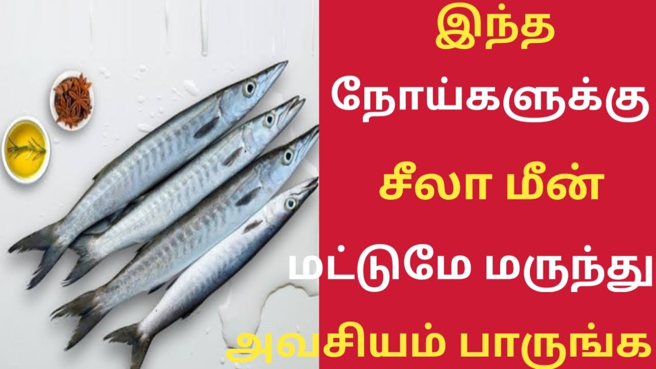 சீலா மீனின் ரகசியம் தெரியுமா?/Barracuda Fish Health Benefits in Tamil ...