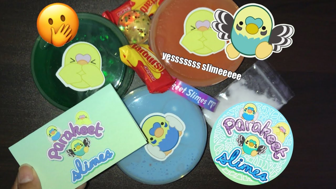 parakeet slimes package review! || pandapupsicle - YouTube