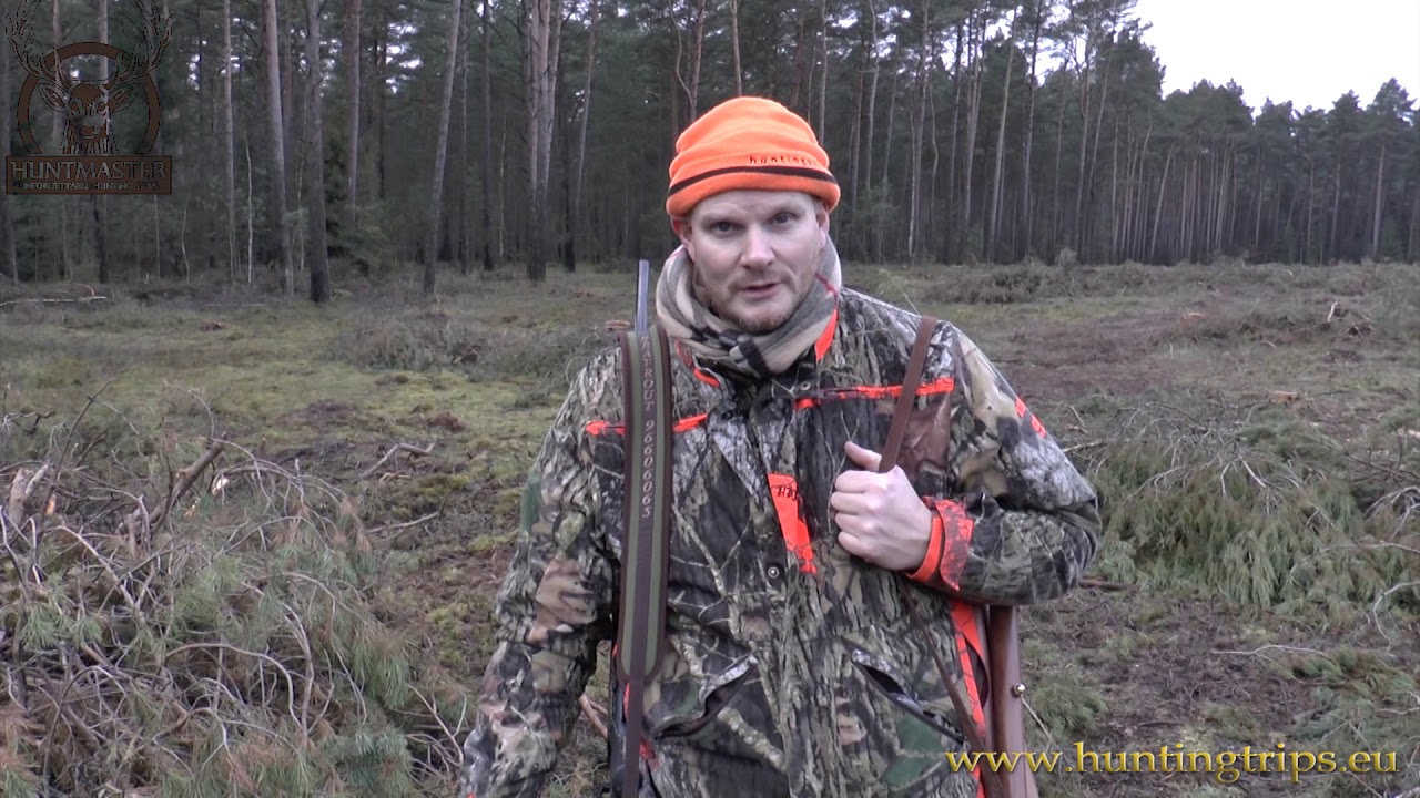 3 hjortejakt i polen; Best driven hunt; the best in life: hunting in ...