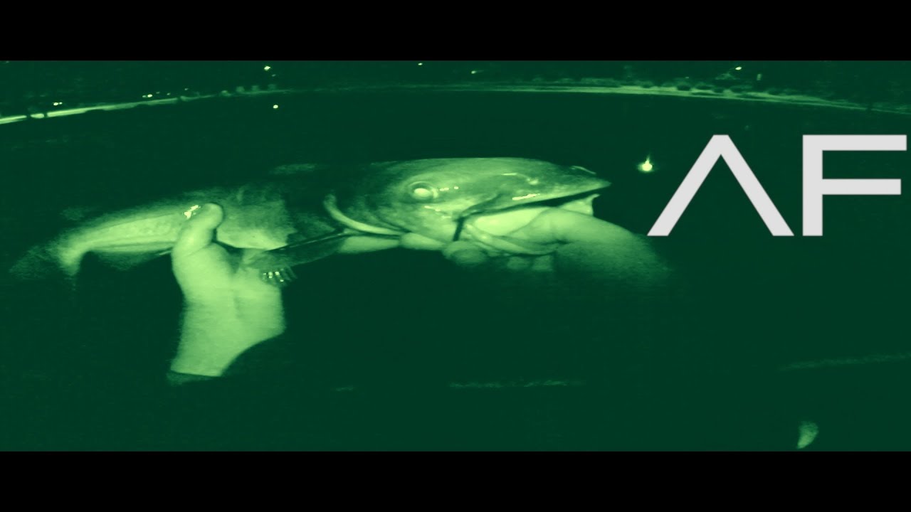 Catfish Fishing At Night - YouTube