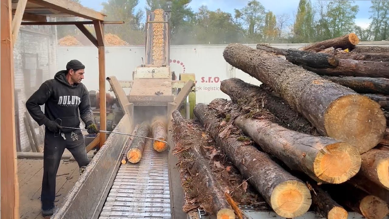 Extreme Wood Processing: How Massive Logs Are Turned Into Fine Chips ...
