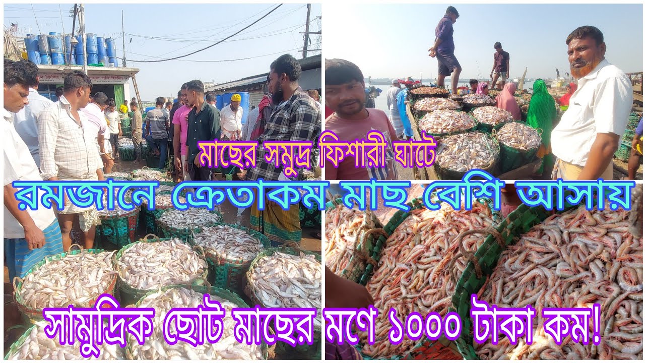 মাছের সমুদ্র ফিশারি ঘাটে রমজানে ক্রেতা কম ছোট মাছ বেশি আসায় দাম কমলো ...