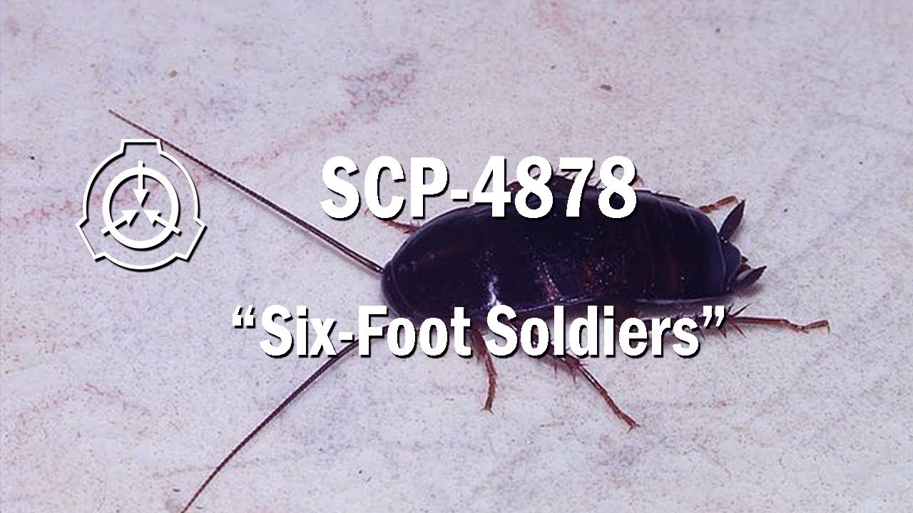 SCP-4878 "Six-Foot Soldiers" Safe [SCP Document Reading] - YouTube