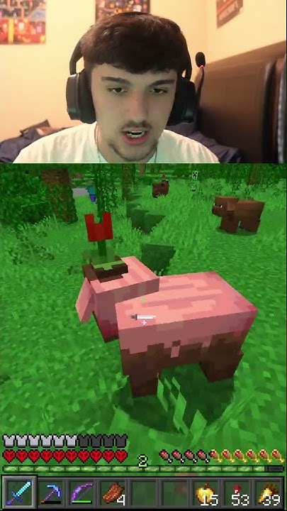 I Cant Get Enough Of This Minecraft Texture Pack Shorts Youtube