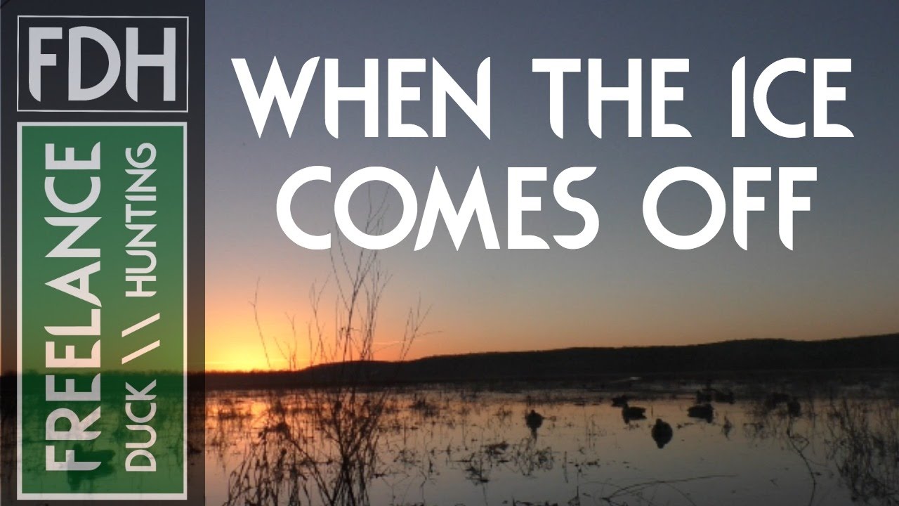 Duck Hunting: When the Ice Comes Off! - YouTube