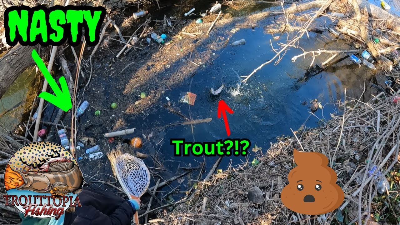 POLLUTED Ditch TROUT Fishing?! Ft bird.cord (Trout Slayfest 2025 Part 1 ...