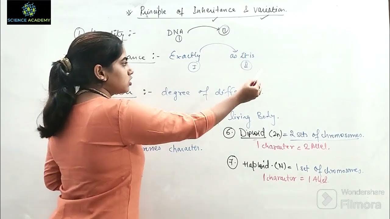 Lecture 01. PRINCIPAL OF INHERITANCE AND VARIATIONS. - YouTube