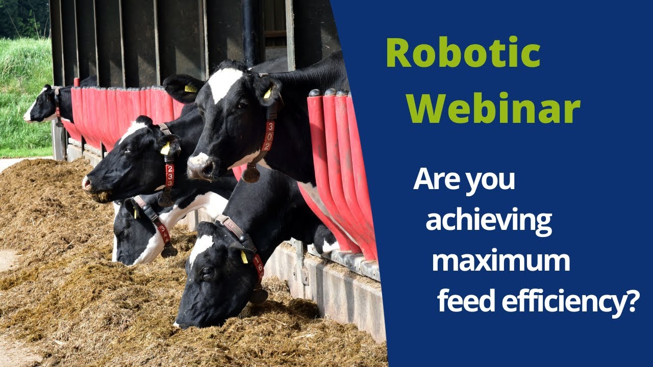 Maximising robot feed efficiency | ForFarmers Robotic Webinar - YouTube