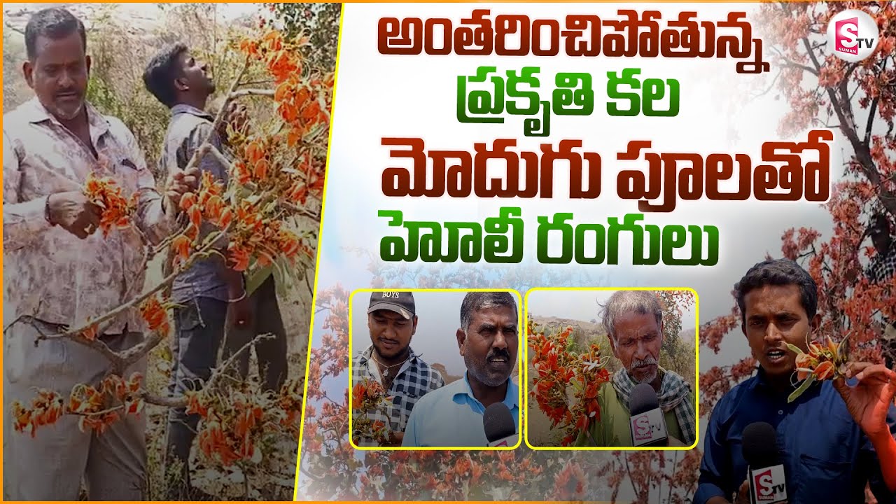 Special Story On Beauty Of Moduga Flowers | Traditional Flower To ...