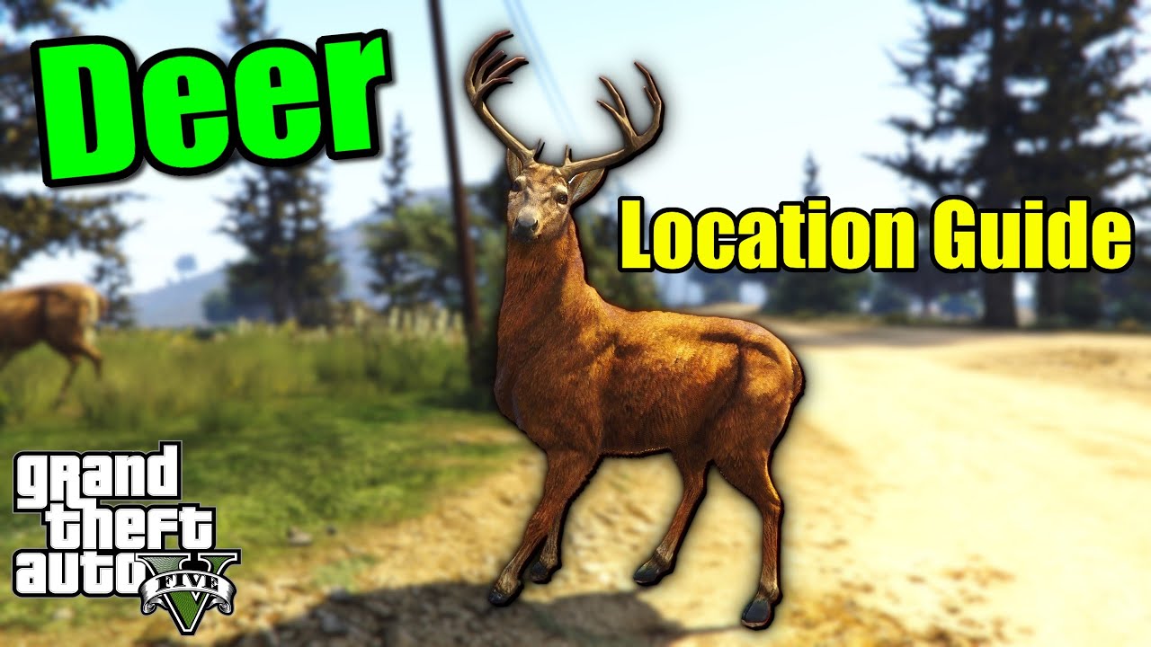 Where & How to Find Deers in GTA 5 - YouTube