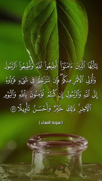 يا أيها الذين آمنوا أطيعوا الله وأطيعوا الرسول وأولي الأمر منكم سورة