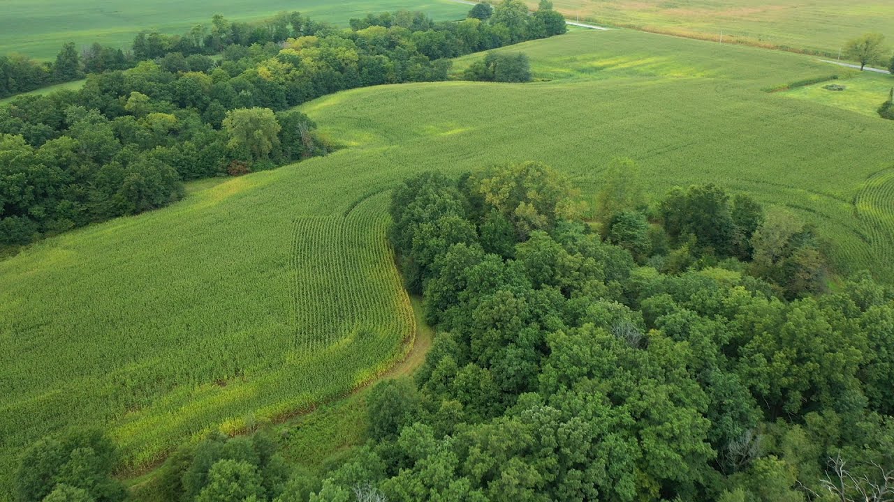 Wooded And Row Crop Farm With Thick Bedding Pockets For Sale In ...