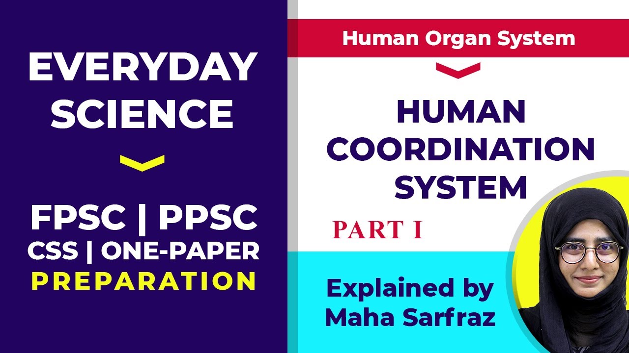 Human Coordination System | Human Brain | CNS | Biology | PPSC | FPSC ...