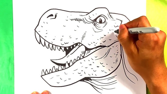 Baby T Rex Drawings