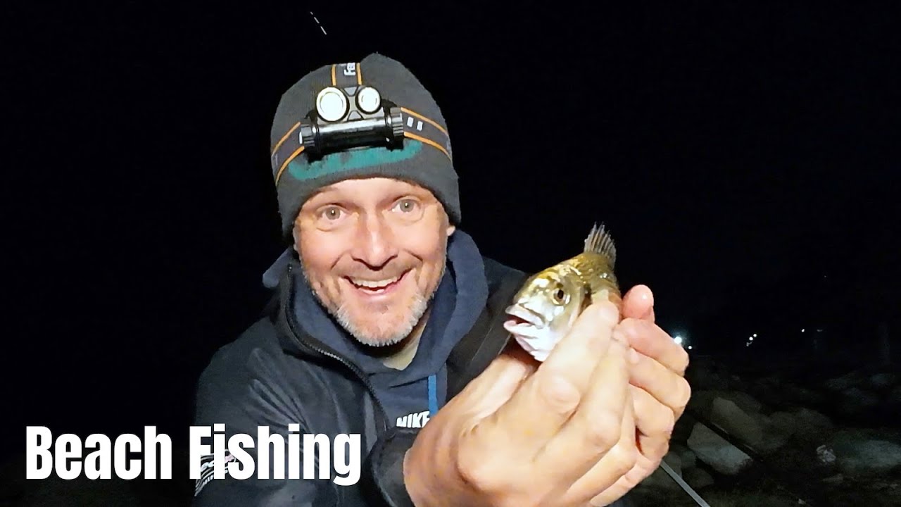 Beach Fishing - Poole - Bass and Guilt Head's - YouTube