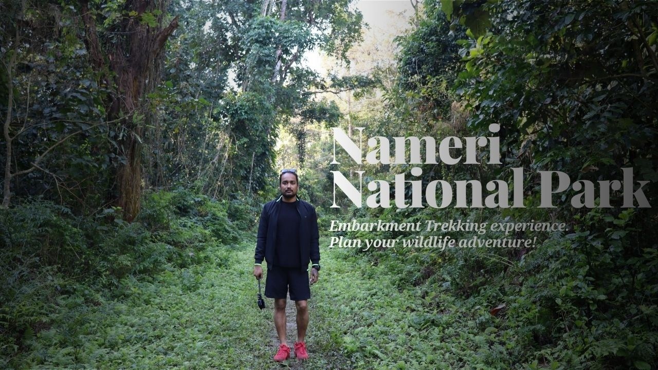 Trekking Through the Untouched Wild | Nameri National Park | Assam’s ...