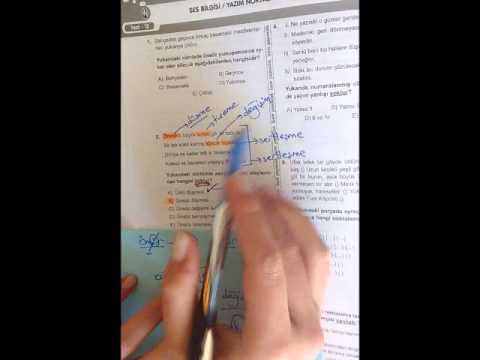 1) Ses Olayları - Gizem Ural (2016)