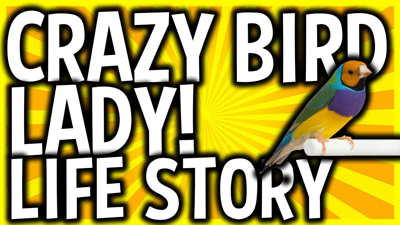 Crazy Bird Lady! (Funny Life Story) - YouTube