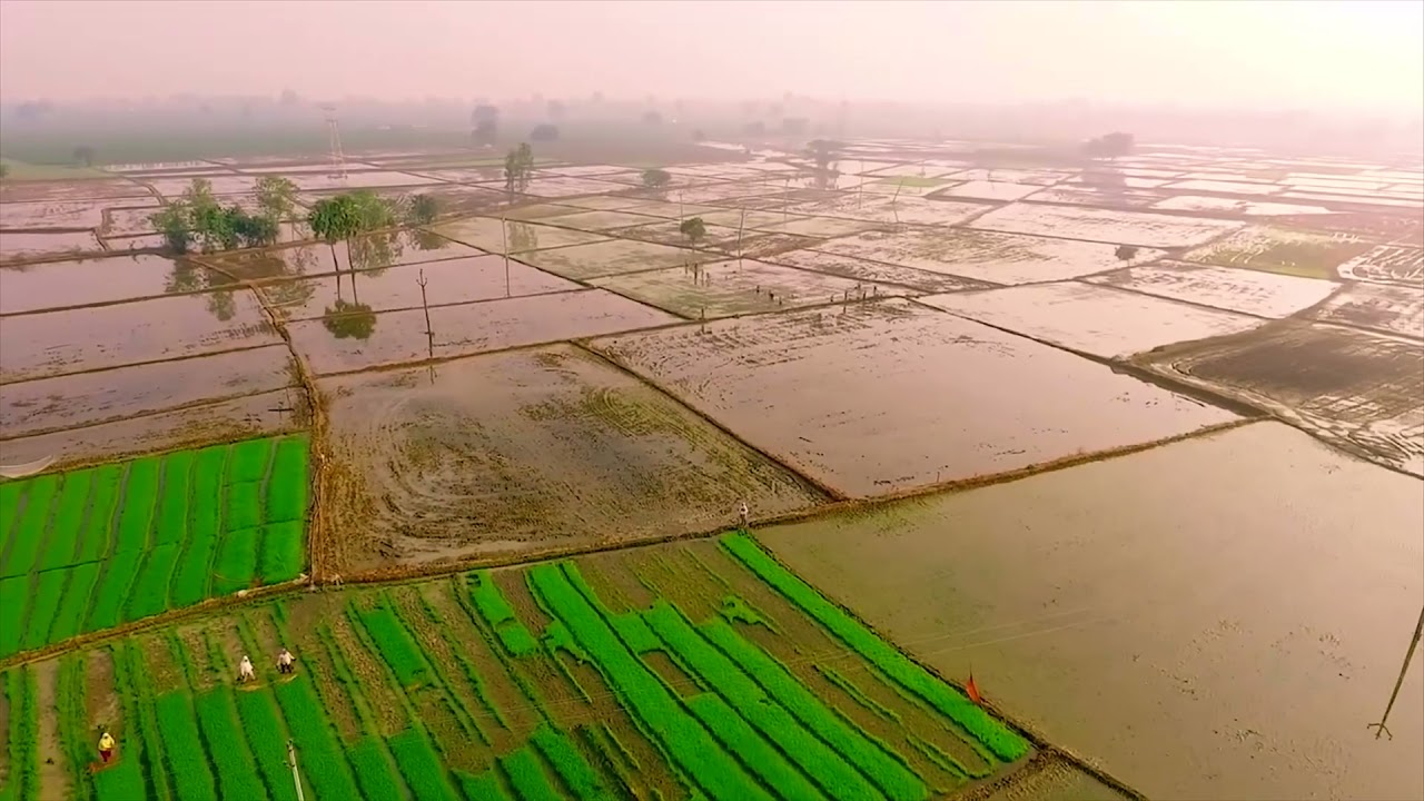 Introduction woods. - YouTube