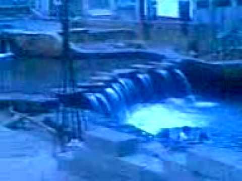 El ahuehuete de Chalma - YouTube