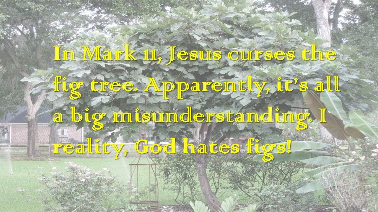Daily Lenten Devotion - Holy Monday Jesus Curses the Fig Tree - YouTube