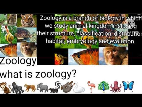 Zoology: Define zoology # what is zoology # What zoology is? - YouTube