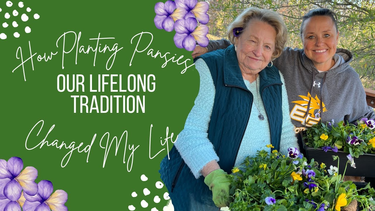 Planting Pansies & Violas In Winter Containers With A Very Special ...