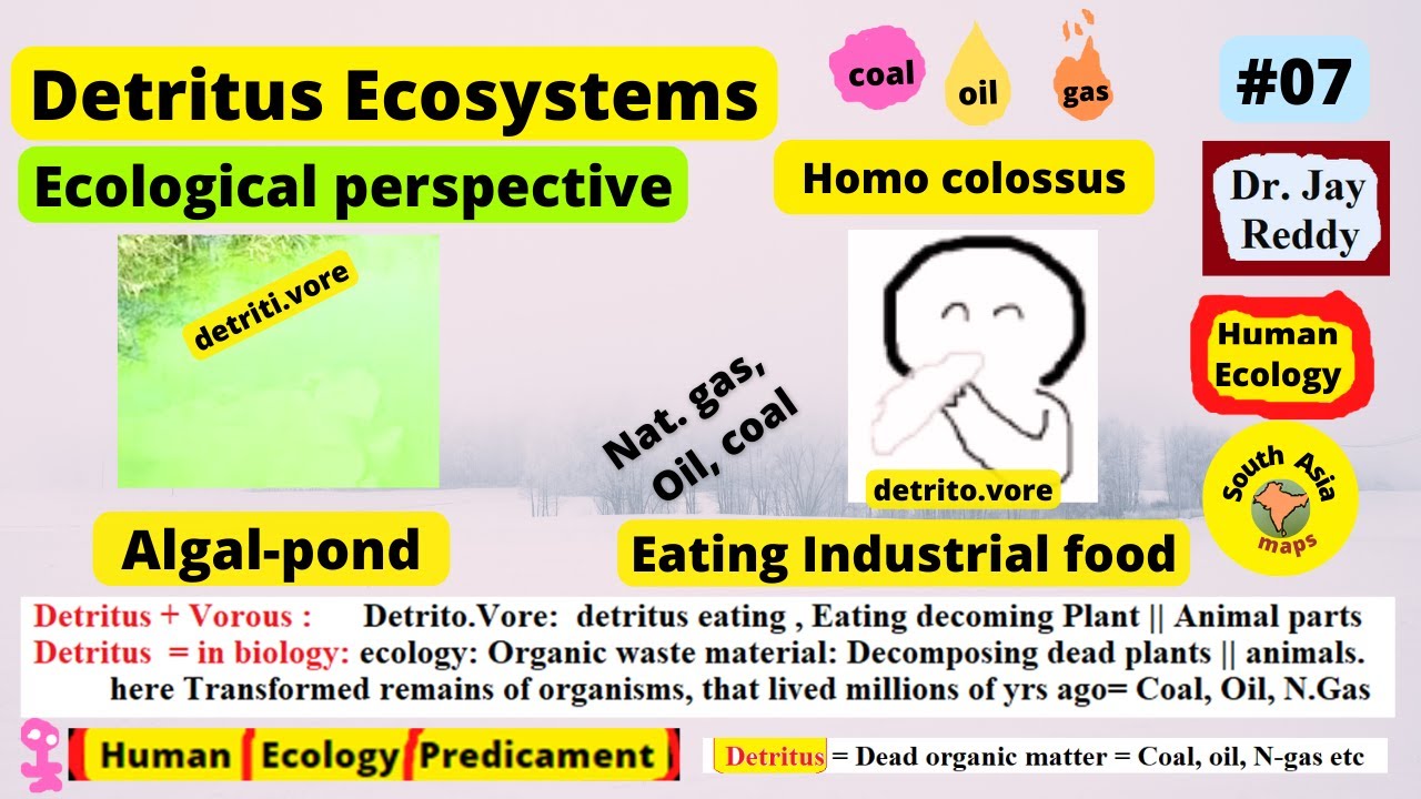 Human Ecology: #07: Detritus Ecosystems, Detriti-vore Humans || Catton ...